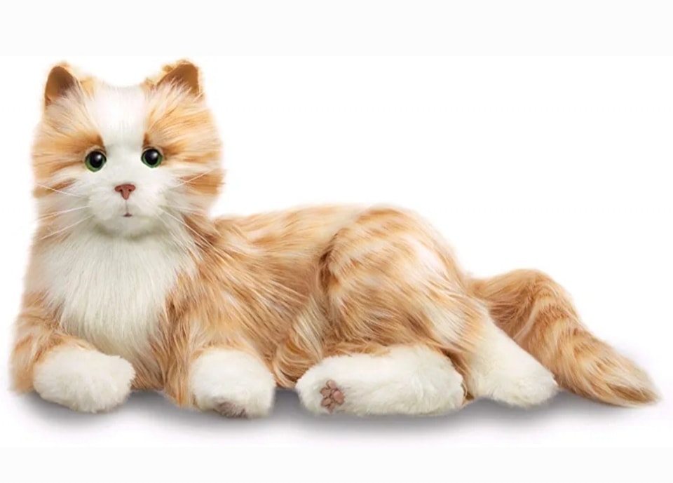Loterij voor interactieve robotkatten – Stichting Superkatten