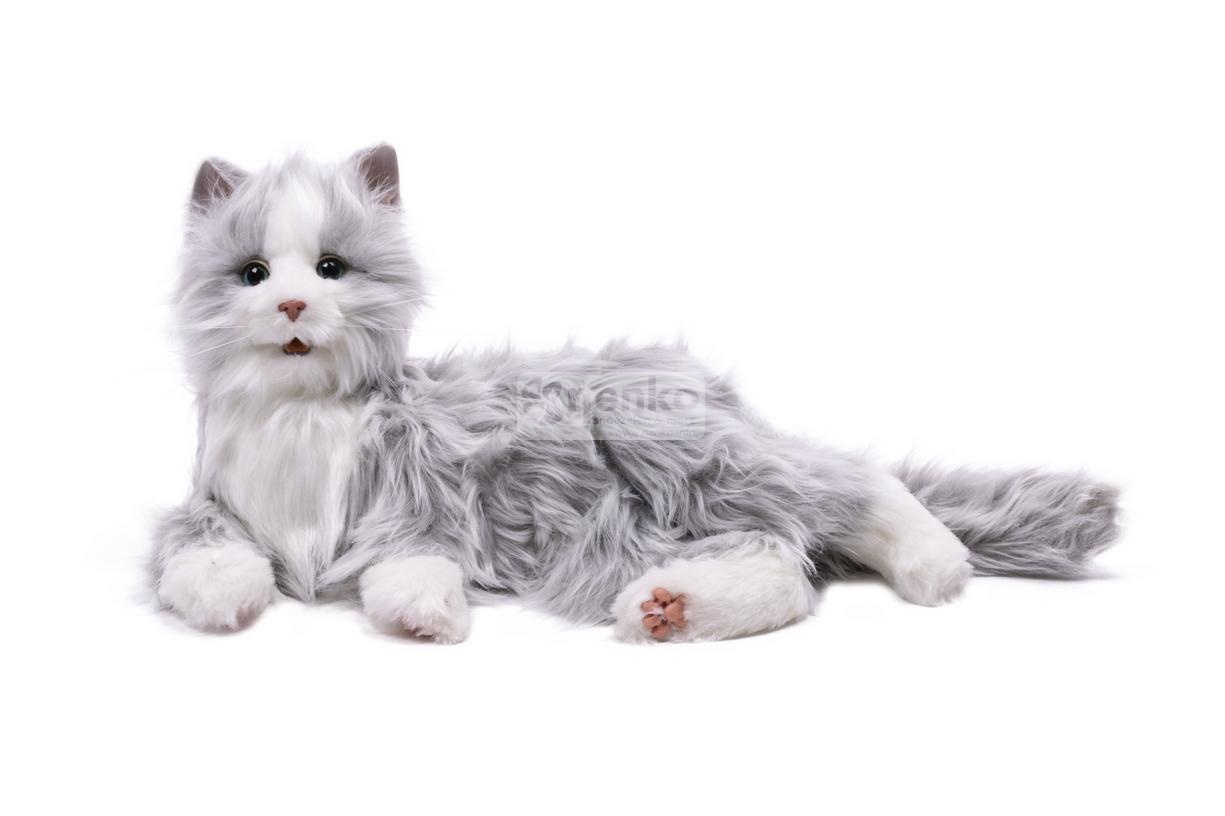 Robotkatten – Stichting Superkatten